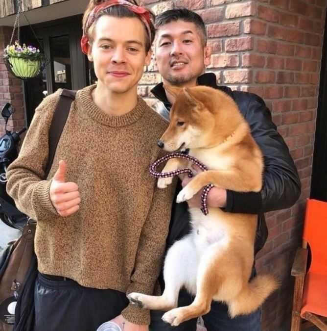 Harry Styles Trending Worldwide for Pet Sitting a Stranger’s Dog ...
