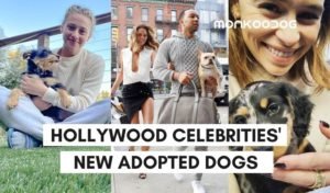 Celebs Lost Their Hearts to Puppies and Adopted Dogs
