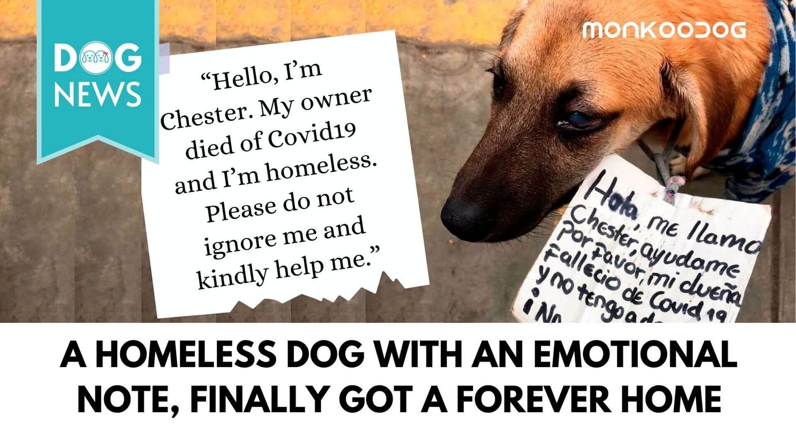 Heartwarming Note Attached To The Collar Of A Homeless Dog - Monkoodog