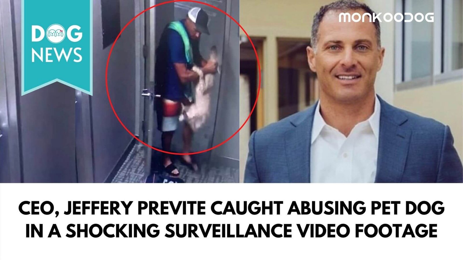 CEO Jeffery Previte caught on camera choking and slapping dog - Monkoodog