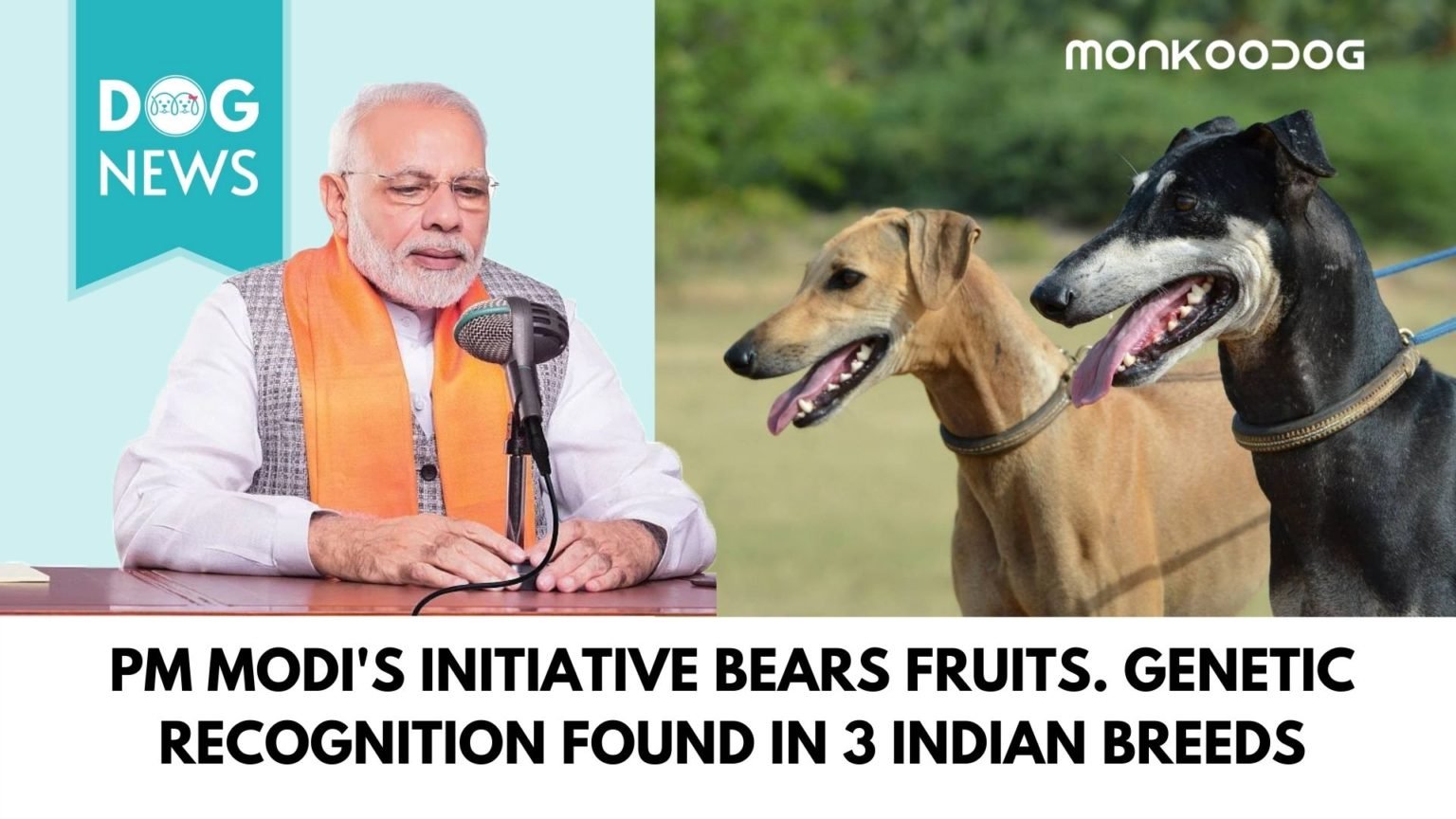 PM Modi inspired, three indigenous breed dogs get genetic recognition
