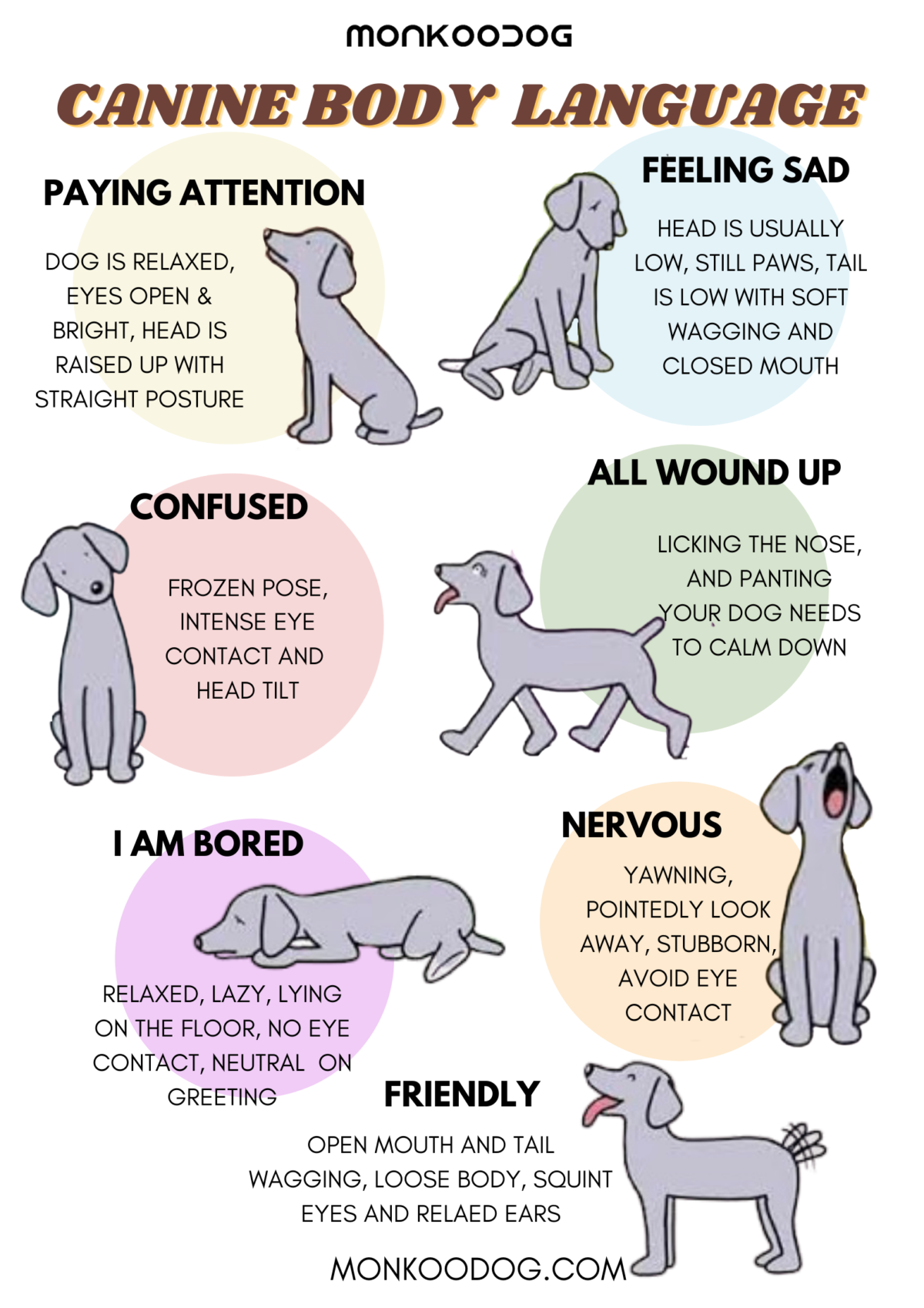 How To Understand Your Dog s Body Language Monkoodog How To Understand Your Dog s Body Language Monkoodog