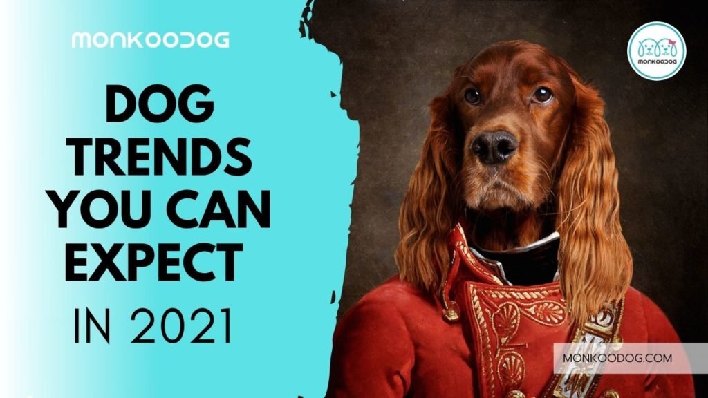 Dog Trends You Can Expect In 2021 - Monkoodog