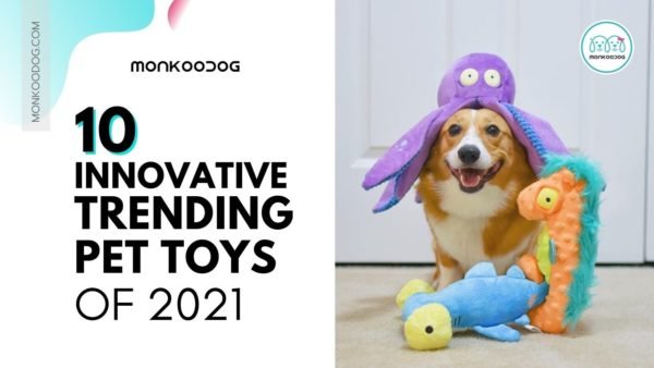10 Innovative Trending Pet Toys of 2021 - Monkoodog