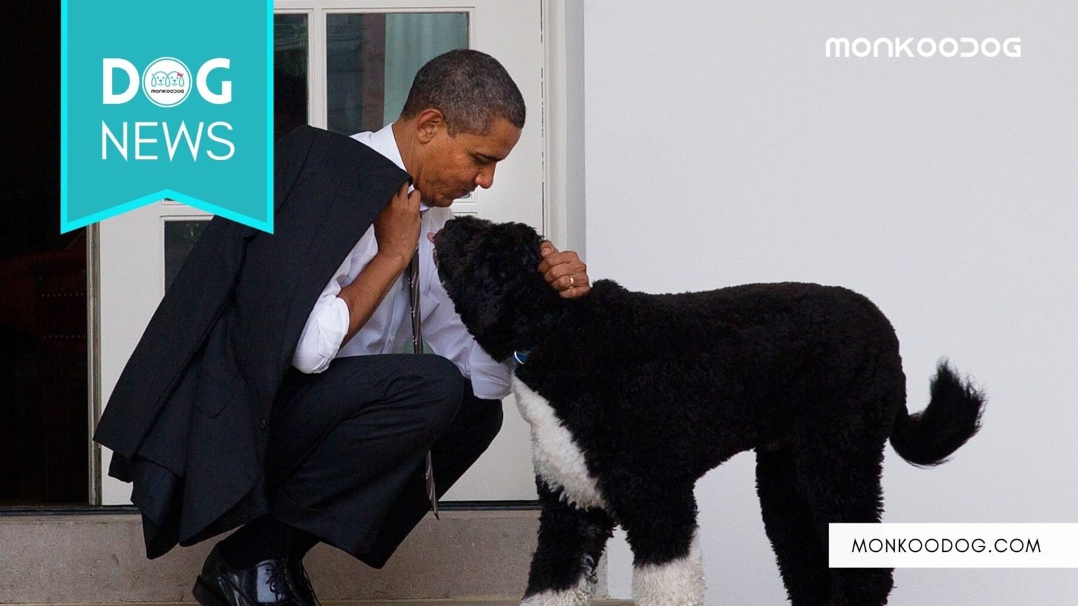 Former US President Barack Obama’s House; Pet Dog Bo Dies | Monkoodog