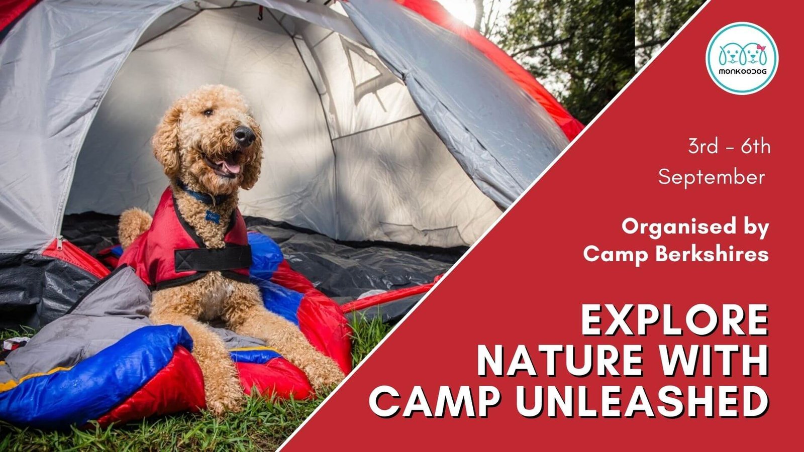 Explore nature with Camp Unleashed - Monkoodog