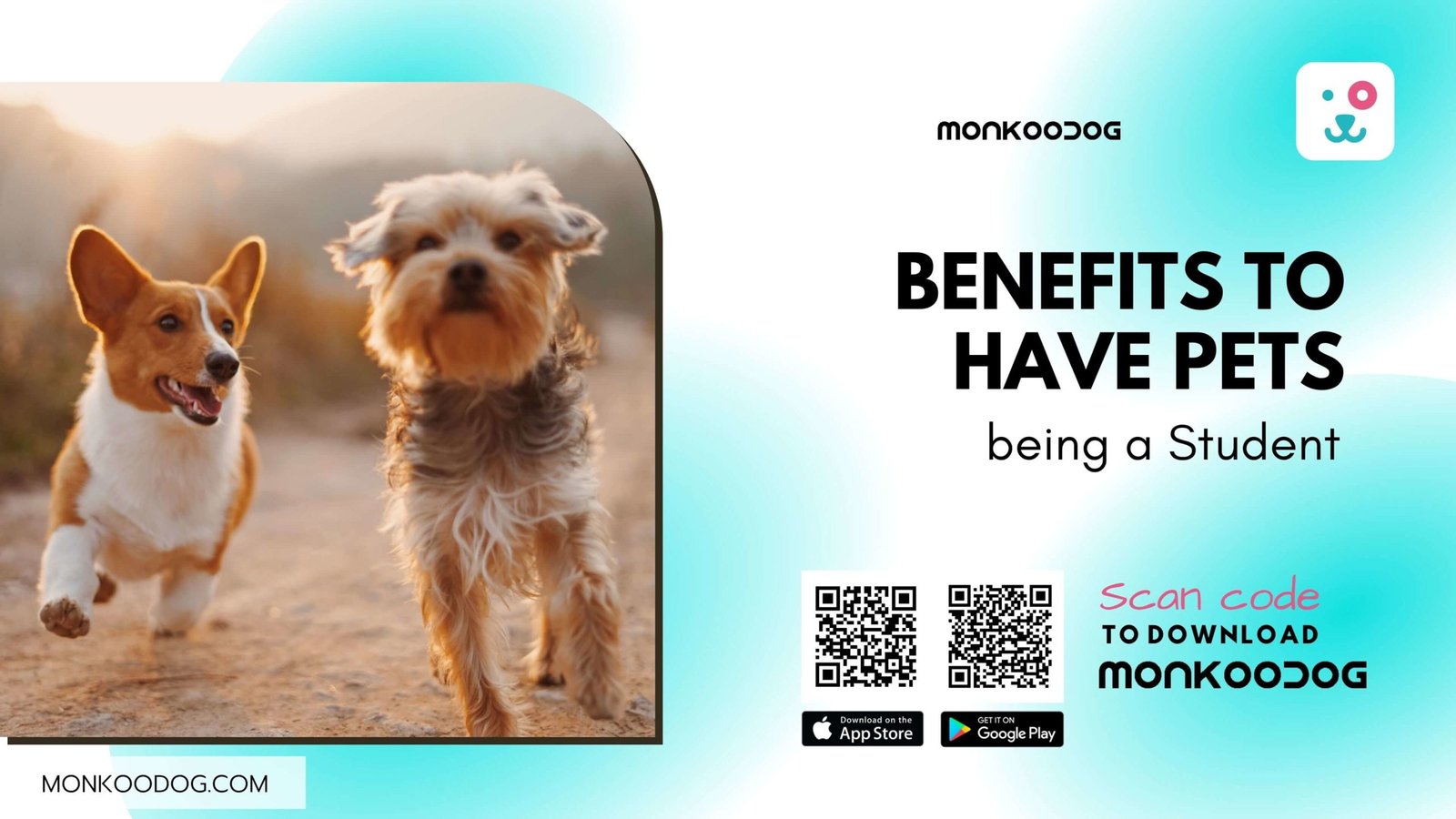 Benefits to Have Pets being a Student | Monkoodog