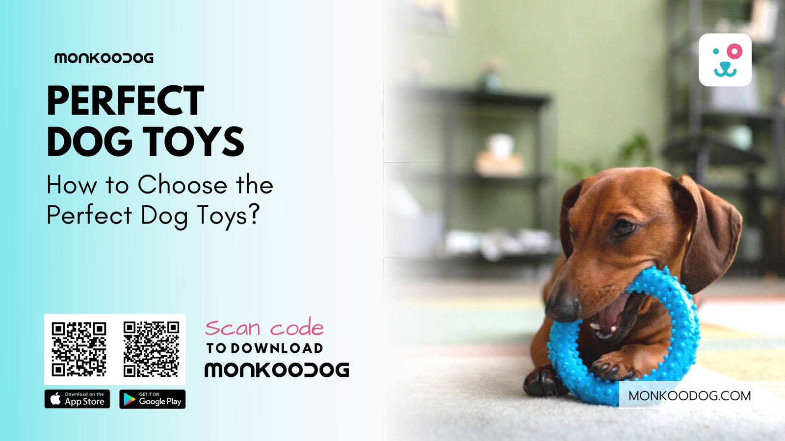 how to choose perfect dog toys