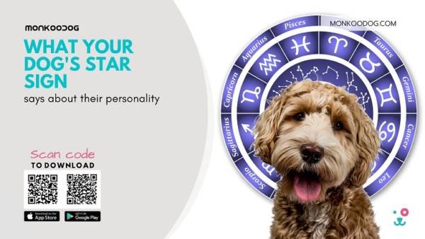 Know What Your Dog’s Star Sign Says About Their Personality