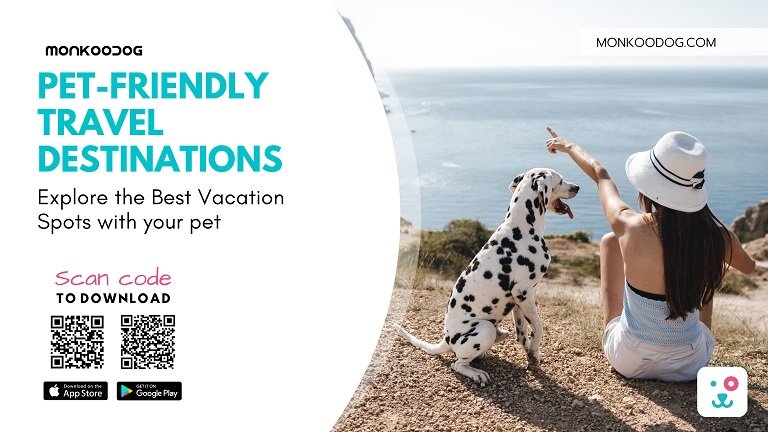Pet-Friendly Travel Destinations Exploring Best Vacation Spots