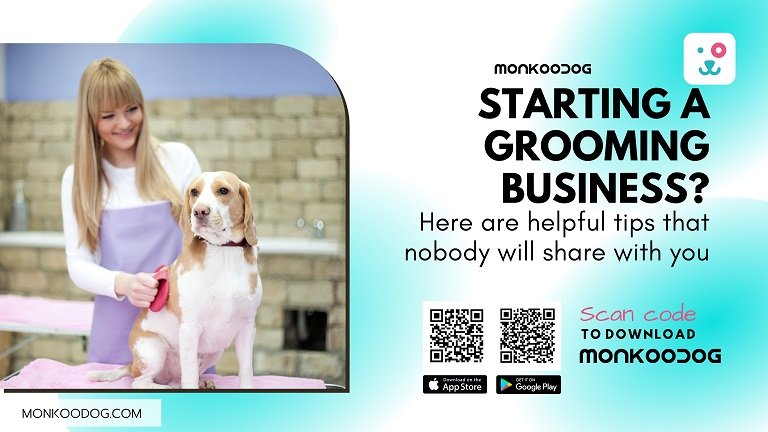 Tips To Start Pet Grooming Business - Monkoodog