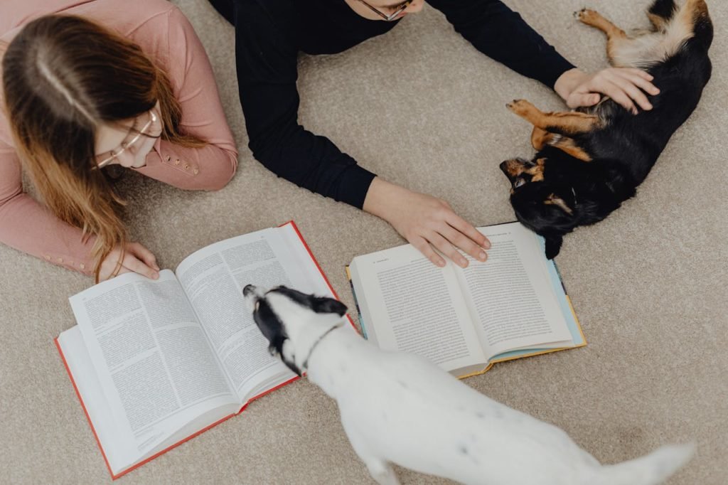 The Challenges of Studying with Dogs - Monkoodog