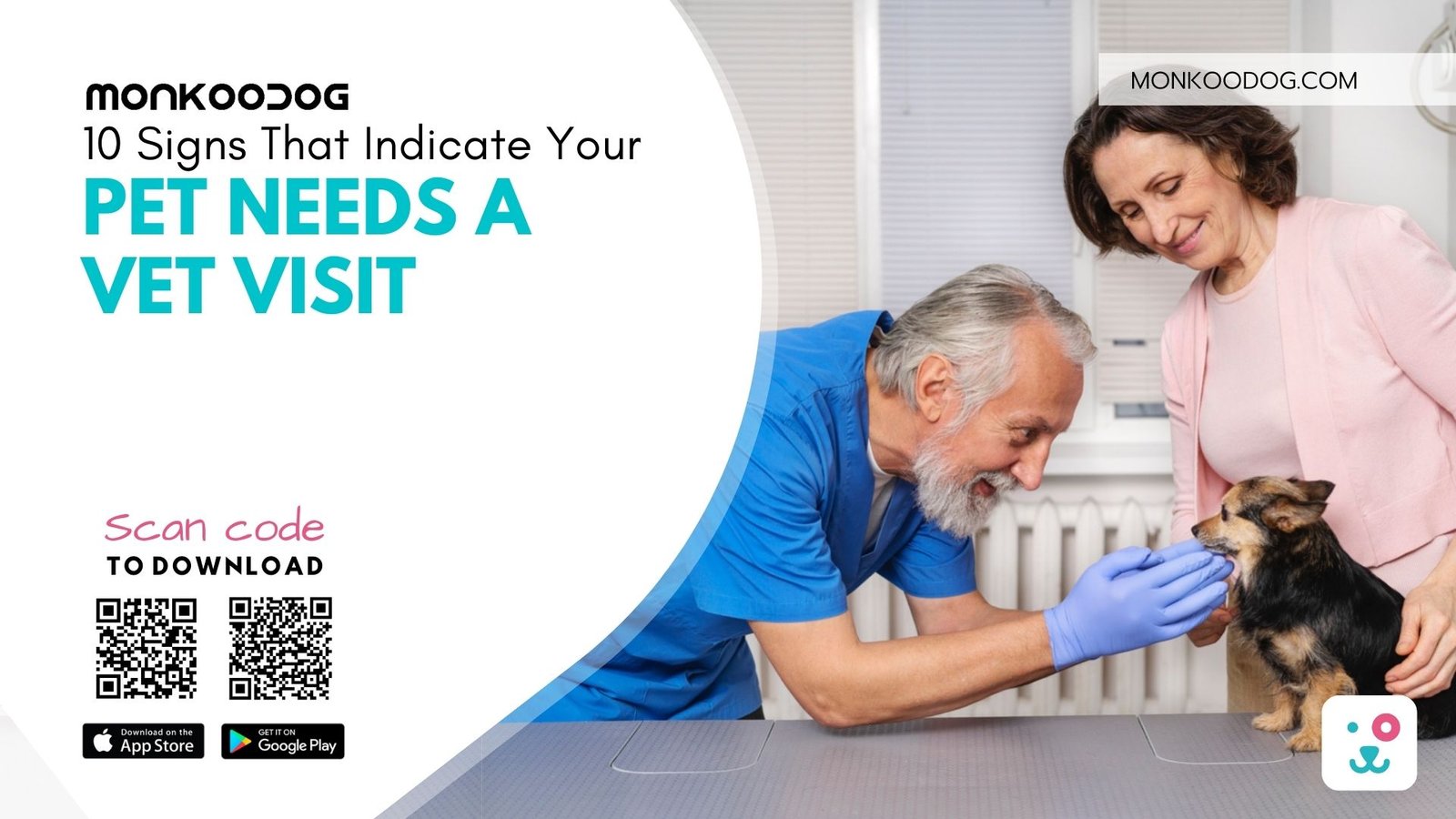 10 Signs That Indicate Your Pet Needs A Vet Visit To The Veterinary ...